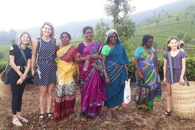 Munnar Tea Trail Tour with Factory Experience ( By Munnar Info) - Final Thoughts