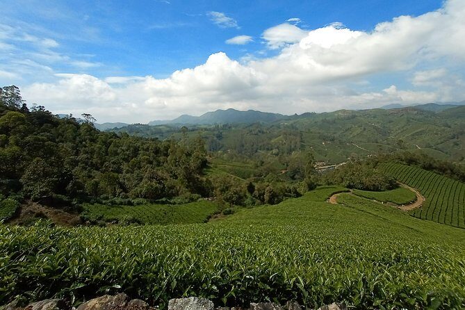 Munnar Trekking (Amazing Munnar Adventure Tours) - Final Thoughts