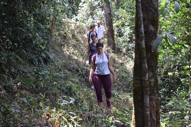 Munnar Trekking (Amazing Munnar Adventure Tours) - Frequently Asked Questions