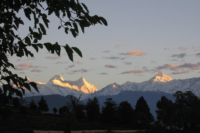 Munsiari Birding tour - What Reviewers Say