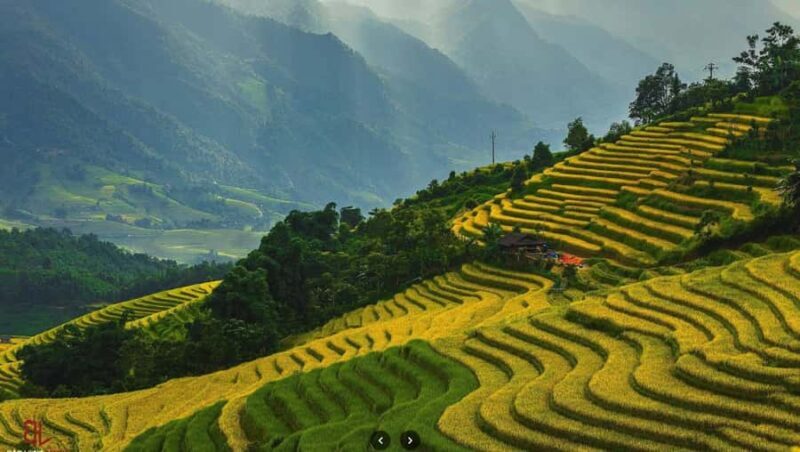 Muong Hoa Valley, Ta Van Village No-Trek Eco Tour, Spa, Cafe - Key Points