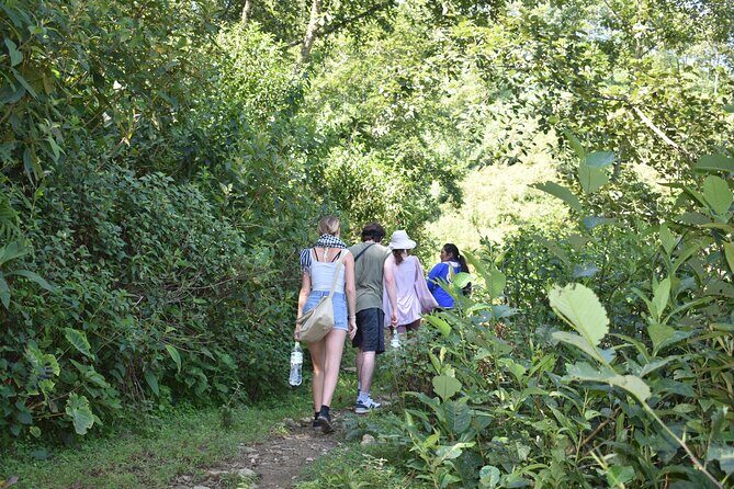 Muong Hoa Valley View & Village Trek in Sapa 1 Day - Start of the Day: Meeting Point and Initial Excursion