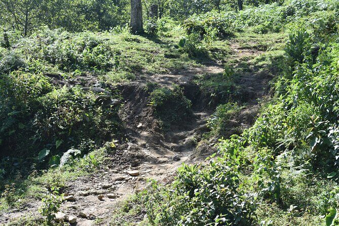 Muong Hoa Valley View & Village Trek in Sapa 1 Day - For Who Is This Tour Best?