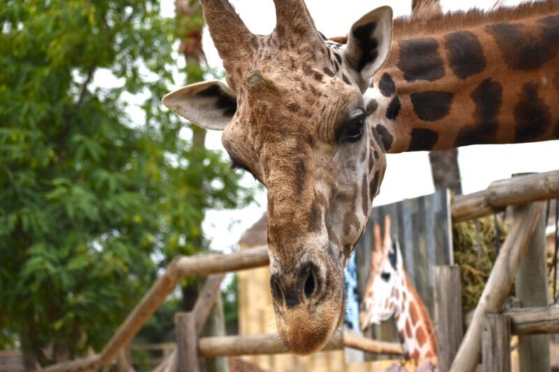 Murcia: Terra Natura Murcia Ticket Entry - Engaging Introduction