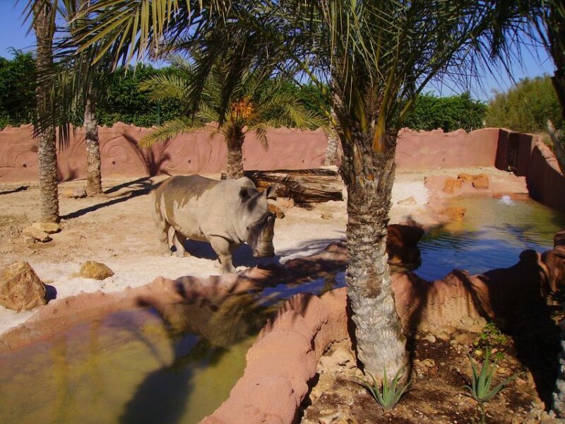 Murcia: Terra Natura Murcia Ticket Entry - FAQ