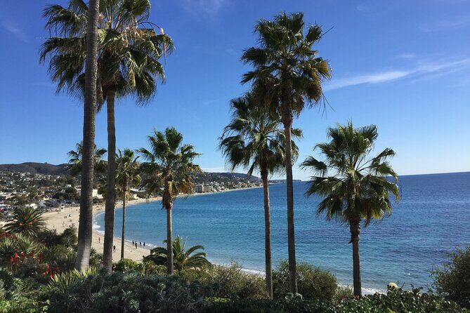 Murder Mystery Scavenger Hunt Laguna Beach - What Travelers Are Saying