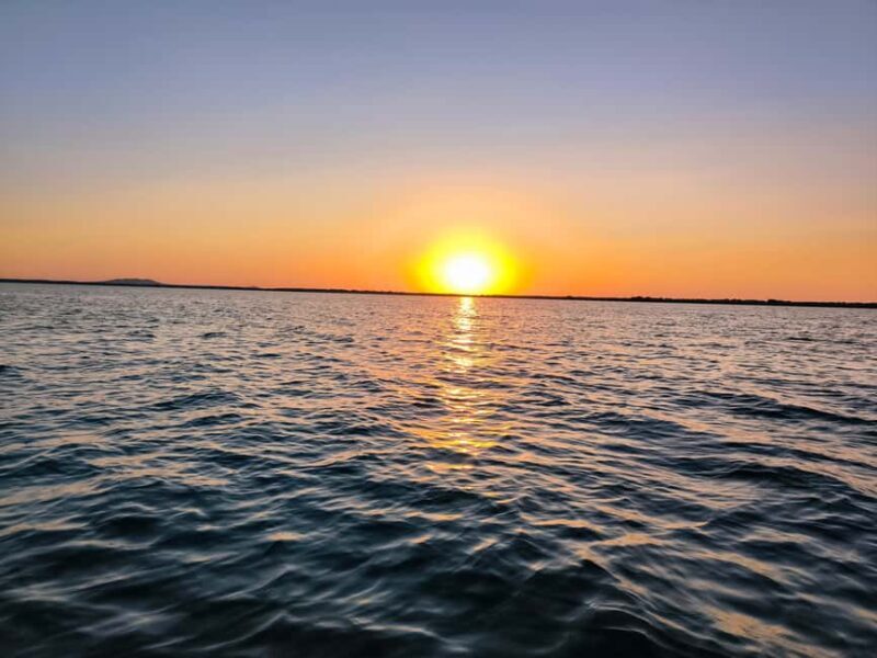Murighiol: Danube Delta Guided Boat Tour - An Introduction to the Murighiol Danube Delta Boat Tour