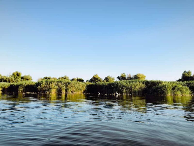 Murighiol: Danube Delta Guided Boat Tour - The Experience: What It Feels Like