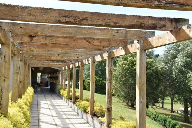Muriwai Scenic Wine Tour from Auckland - Who Will Enjoy This Tour?