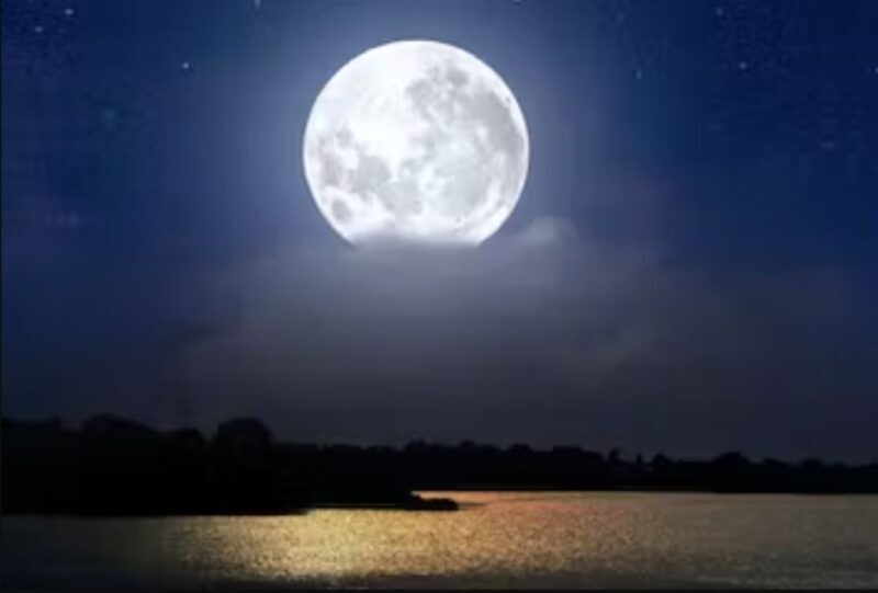 Murrells Inlet by Moonlight: Legends & Lores of the Inlet - What to Expect on the Tour