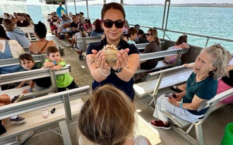 Murrells Inlet: Saltwater Marsh Eco Tour w/ Marine Biologist - The Experience’s Practical Aspects