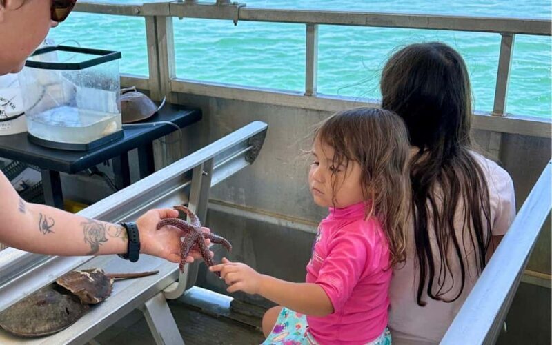Murrells Inlet: Saltwater Marsh Eco Tour w/ Marine Biologist - The Sum Up