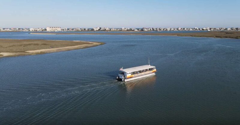 Murrells Inlet: Saltwater Marsh Eco Tour w/ Marine Biologist - What You Can Expect on the Tour