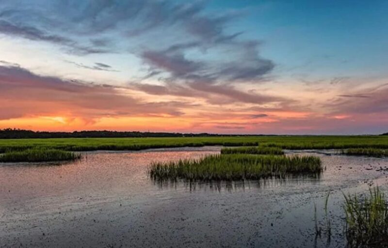 Murrells Inlet: Sunset Sealife Cruise - The Sum Up