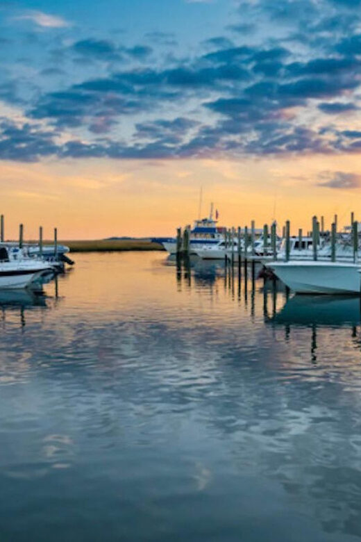 Murrells Inlet: Sunset Sealife Cruise - Key Points