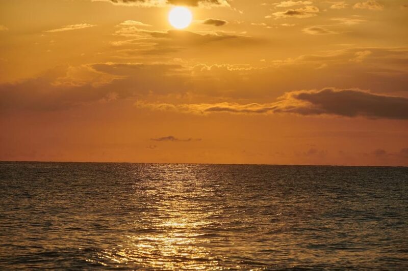 Murrells Inlet: Sunset Sealife Cruise - Authentic Experiences and Passages from Reviews