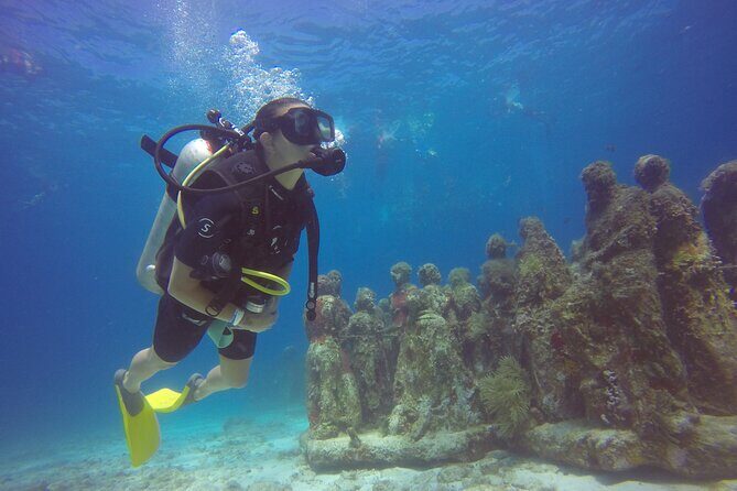 MUSA Diving For Beginners in Cancun - Key Points