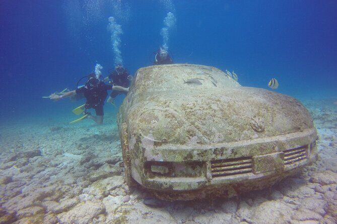 MUSA Diving For Beginners in Cancun - Introduction: A Beginner’s Dream in Cancun