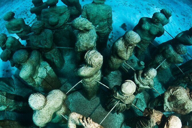 MUSA Diving For Beginners in Cancun - Why This Tour Works Well