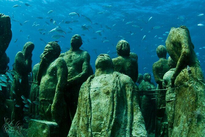 MUSA Diving For Beginners in Cancun - Who Would Love This Tour?