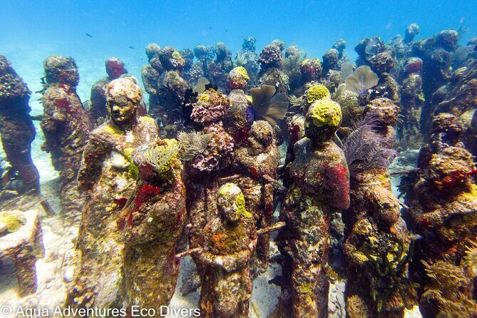 MUSA Museum and Colorful Reef 2 Tank Dive-Certified Divers - Frequently Asked Questions