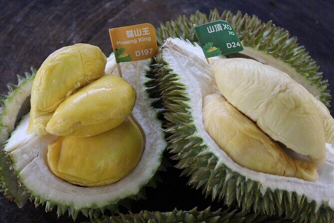 Musang King Durian Feast + KL Night Icons with Hotel Pickup - The Sum Up: A Practical, Enjoyable Night in KL