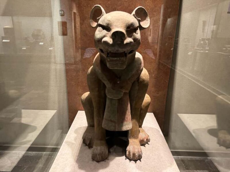 Museo Nacional de Antropología with a Certified Guide - Practical Tips for Your Visit