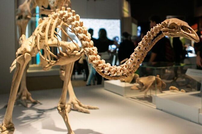 Museum of New Zealand Te Papa Tongarewa Entry Ticket - Key Points