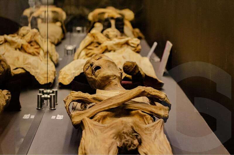Museums and Mines of Guanajuato Private Tour - Cost and Value