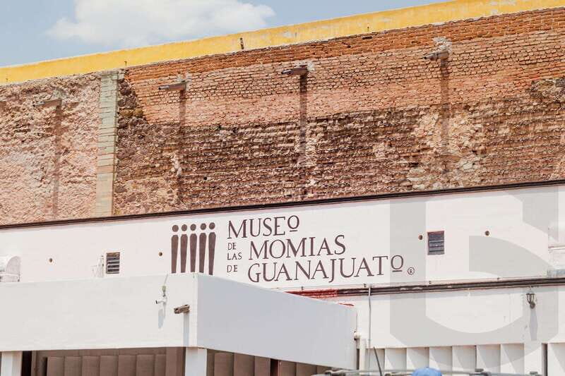 Museums and Mines of Guanajuato Private Tour - Who Will Love This Tour?