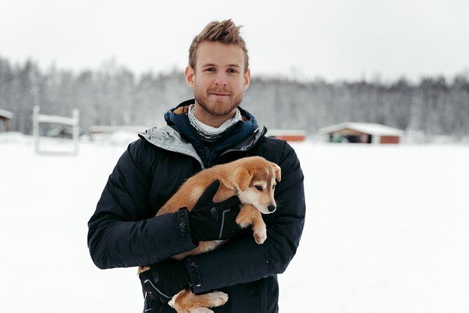 Mush Your Own Sled Dog Team (Winter Tour) in Talkeetna, Alaska - Experience the Thrill of Mush Your Own Sled Dog Team in Talkeetna, Alaska