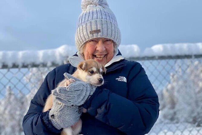 Mush Your Own Sled Dog Team (Winter Tour) in Talkeetna, Alaska - The Sum Up