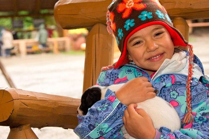 Musher's Camp and S'more Roasting Experience - Key Points