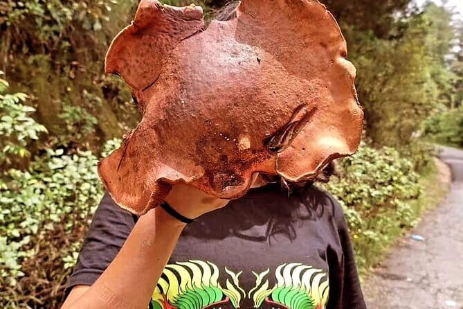 Mushroom Foraging Expedition in Nepal - Key Points