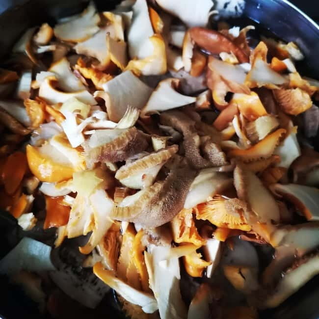 Mushroom picking in the forests near Riga - Authentic Reviews That Speak for Themselves