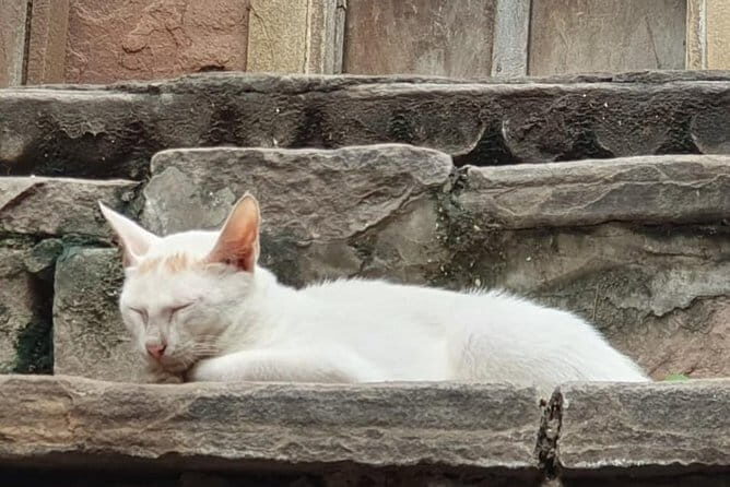 Music Retreats In City Of Music - Key Points