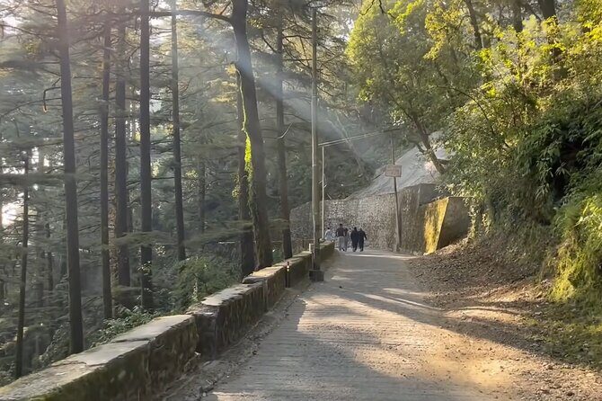 Mussoorie City Full Day Guided Tour - Key Points