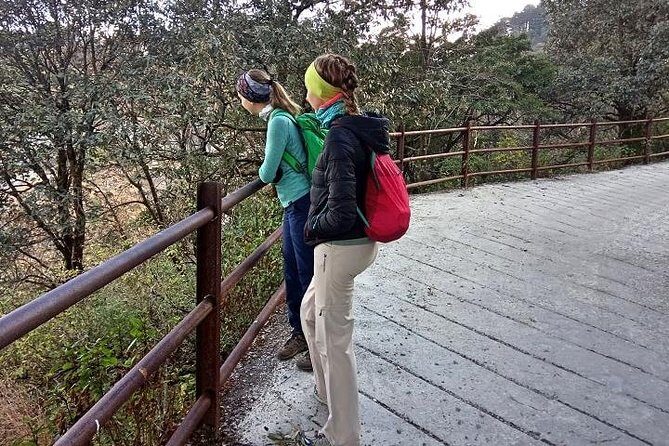 Mussoorie Walking Tour - Hathipaon to Clouds End - Why This Walk Is a Hidden Treasure