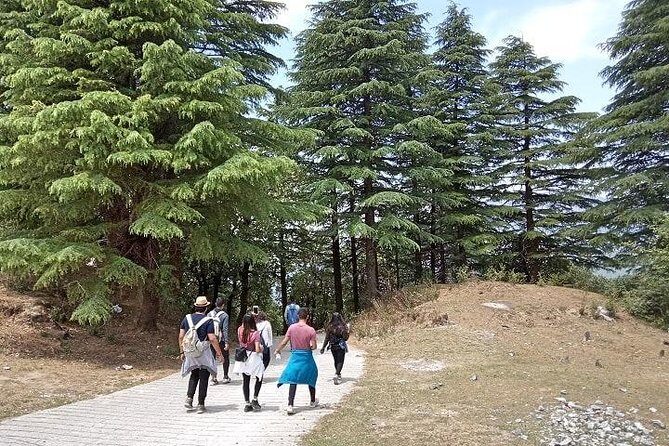 Mussoorie Walking Tour - Hathipaon to Clouds End - Final Thoughts: Is It Worth It?