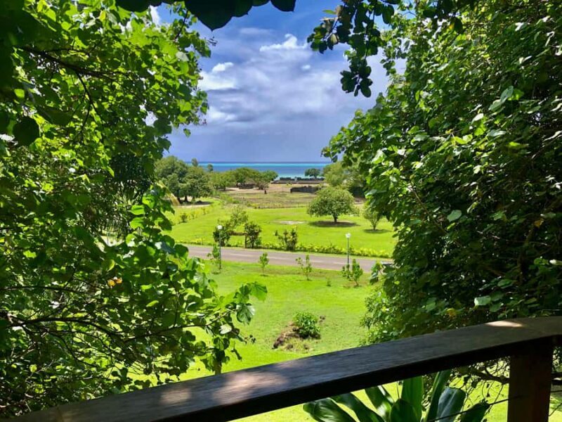 Must-Do : Nature, Culture & Moments Uniques MirimirI Tours - Who Will Love This Tour?