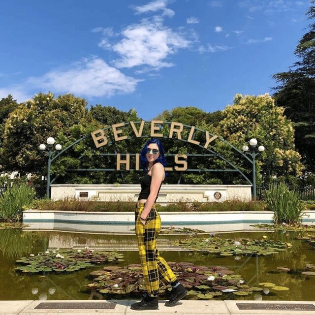 Must Have L.A. Pictures! - Who Will Love This Tour?