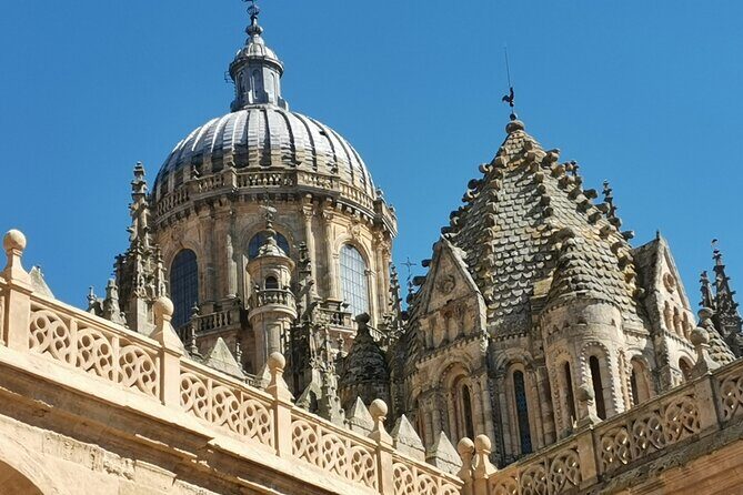 Must see Salamanca Walking Tour (could be billingual) - Practical Details and What to Expect