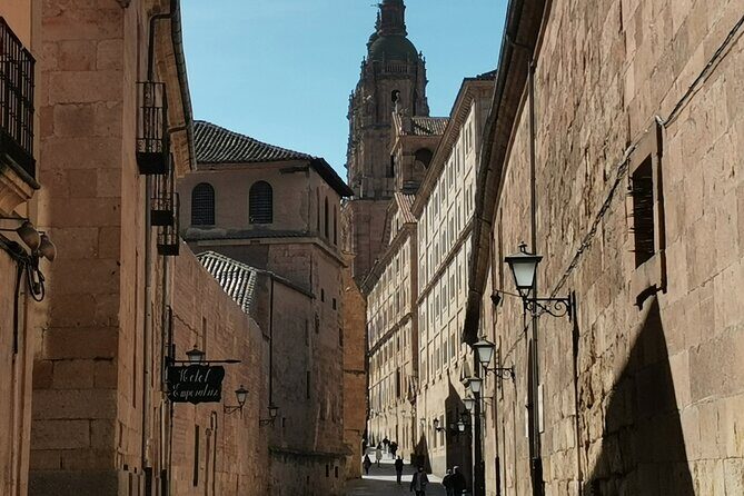 Must see Salamanca Walking Tour (could be billingual) - What Travelers Say