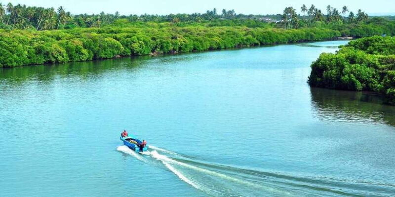 Muthurajawela Bird Watching Tour from Negombo and Colombo - The Itinerary Breakdown: What’s Included and What It Feels Like