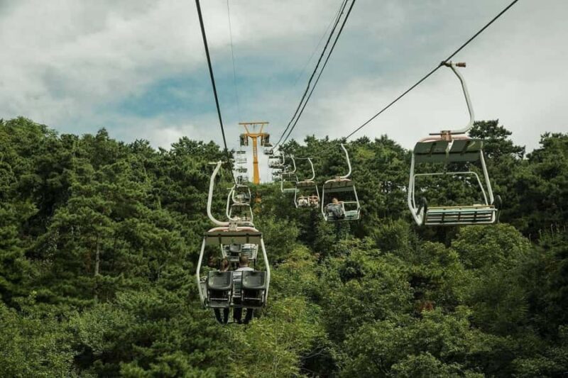 Mutianyu Great Wall Entry Ticket - Why the Mutianyu Section Is Special