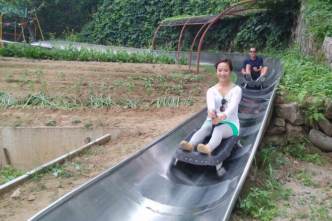 Mutianyu Great Wall Toboggan Private Trip English Speaking Driver - The Itinerary in Detail