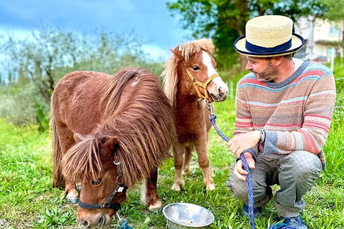 My Farm - three experiences in one day - Price and Value Analysis