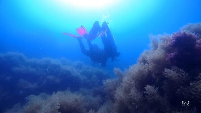 My first scuba dive in the Ocean from Madeira - Key Points