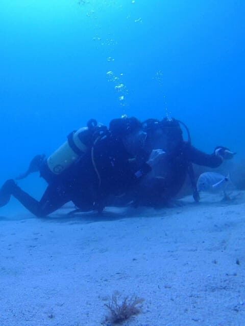 My first scuba dive in the Ocean from Madeira - Experience Overview