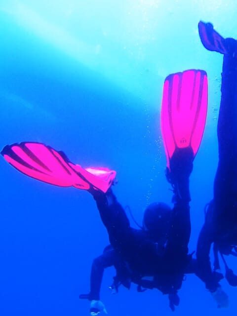 My first scuba dive into the Ocean from Sao Miguel - Key Points